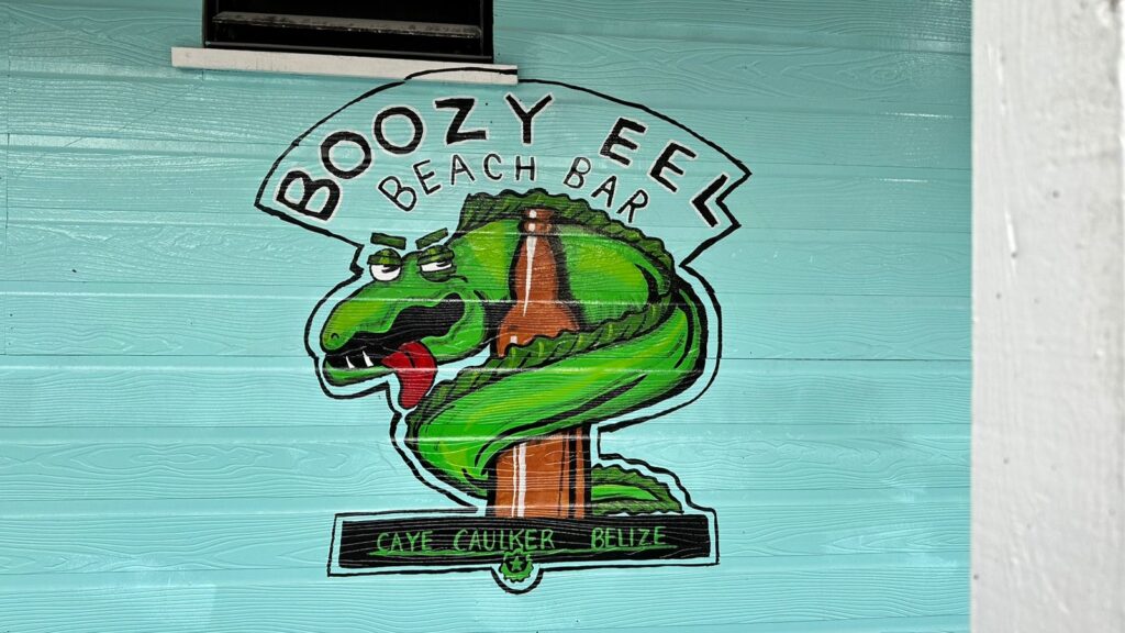 Boozy Eel Beach Bar – hilucy